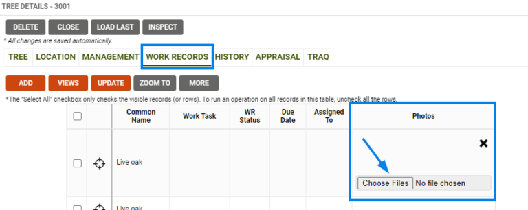 Tutorial: Work Records – TreePlotter Support