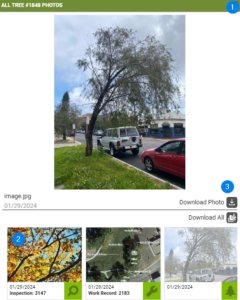 How To: View Multiple Photos – TreePlotter Support
